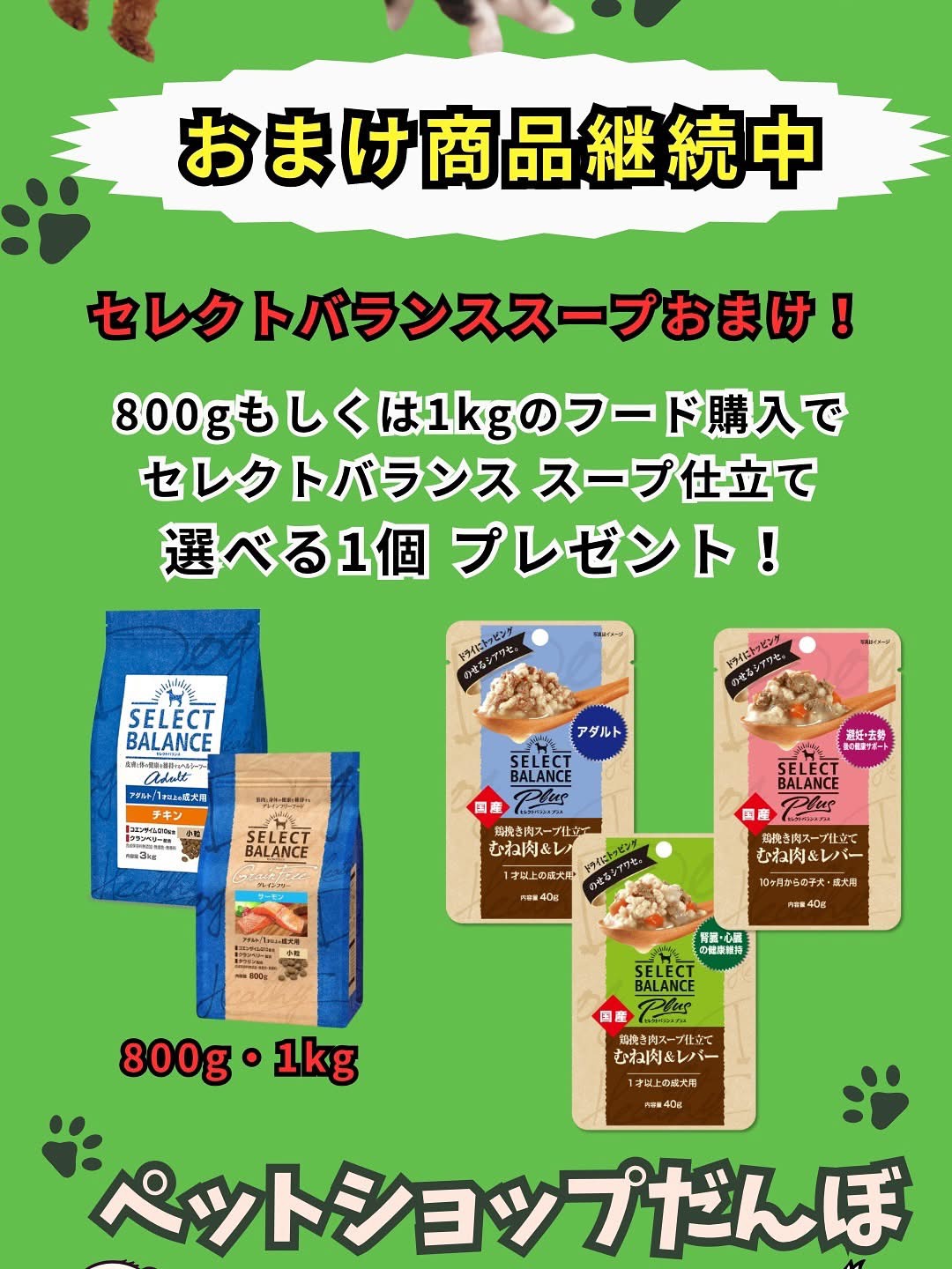 周年記念のおまけは終了してしまいましたが、新しいおまけ商品を継続しています😊 | 札幌ブリーダー | ブリーダーなら札幌ペットショップだんぼ